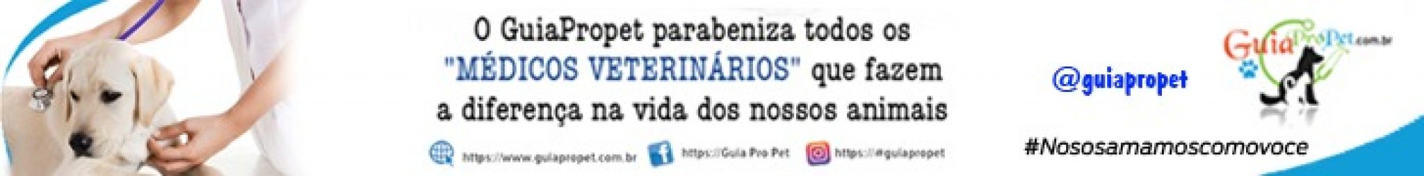 Petfive Brands - GuiaProPet